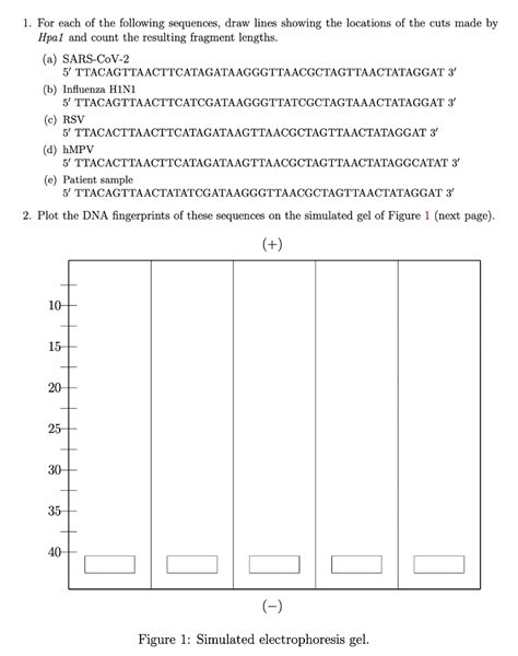 Solved For Each Of The Following Sequences Draw Lines