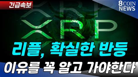 리플 리플 확실한 반등 이유는 반드시 확인하고 가야 한다 Youtube