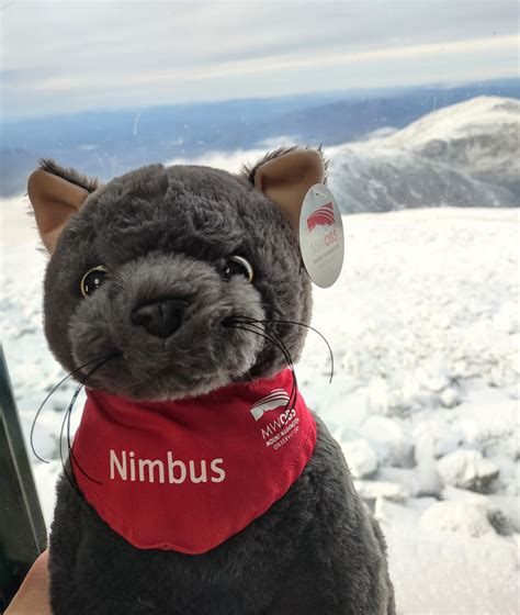 Nimbus Kitty Mwobs Mascot Mount Washington Observatory