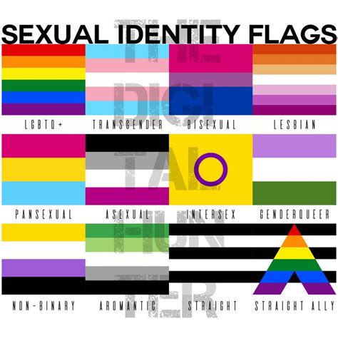 Sexual Identity Flags Png Digital Download Printable Etsy