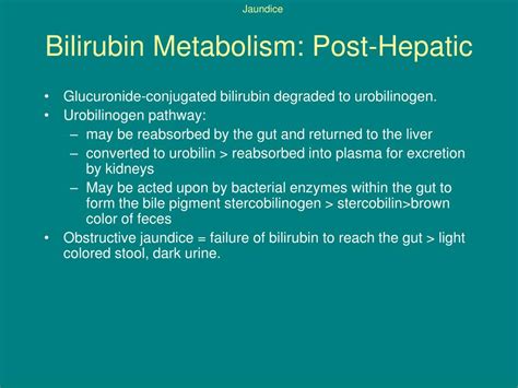 Ppt Jaundice Powerpoint Presentation Free Download Id 820199