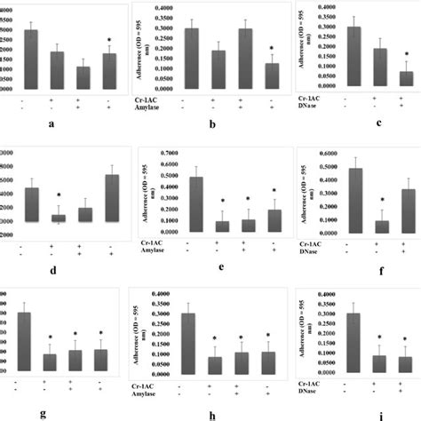 Characterization Of Extracts Produced By 18pm Isolate Ac Which Were