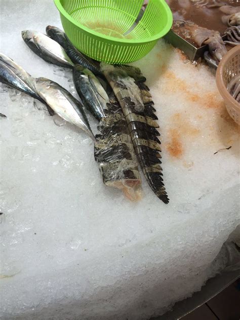 2023沃尔玛购物广场（蛇口店）购物 商品齐全，就是补货有点慢， 【去哪儿攻略】