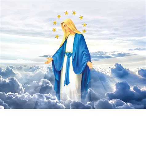 천주의 성모 마리아 대축일 미사 공지사항 과천성당