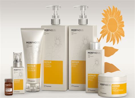 헤어케어제품 프라메시