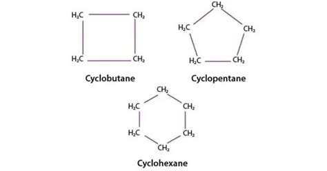Cycloalkyne In Organic Chemistry Assignment Point