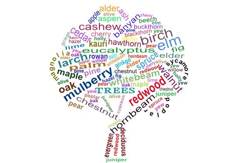 Branching Out With Knowledge