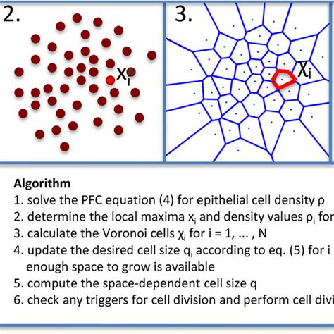 Schematic Description Of The Numerical Algorithm The Artifacts Of The