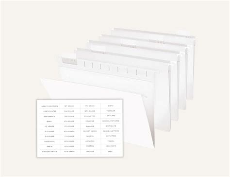 Folder Kit The Forever Files