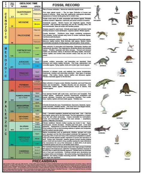 Geologic Time Scale Activity Pdf