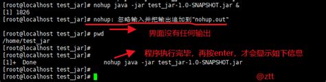 linux环境下运行jar包的几种方式（附详细案例） linux执行jar包中的类 csdn博客