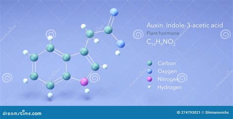 auxin molecule structural chemical formula ball and stick model