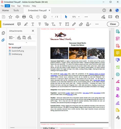 Retrieving Embedded Files From Pdfs Using C And Net