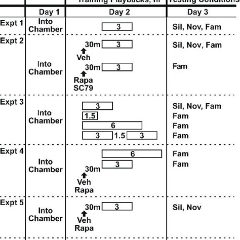 Schematic Of 3 D Song Recognition Paradigm Variations Including Download Scientific Diagram