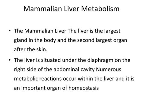 Liver Metabolism Pptx