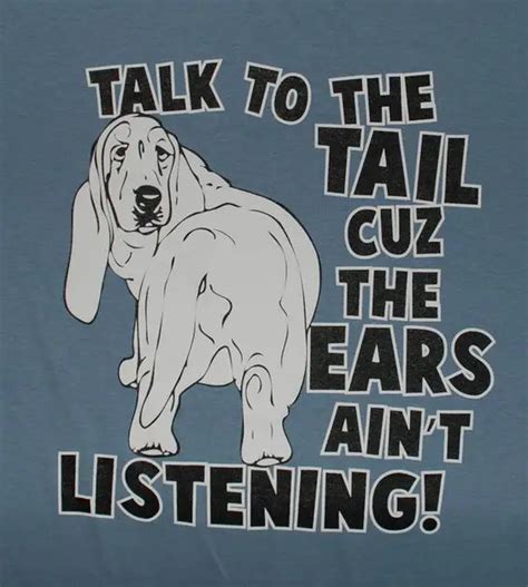 21 Funny Basset Hound Quotes And Sayings The Paws