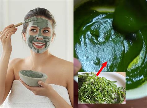 Cuma 2 Kali Seminggu Coba Tumbuk Daun Kelor Lalu Oleskan Ke Wajah 20