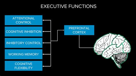 How To Make Improving Cognitive Performance A Walk In The Park