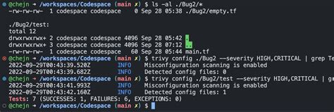 Trivy Terraform Misconfiguration Scan Not Picking Up Files One