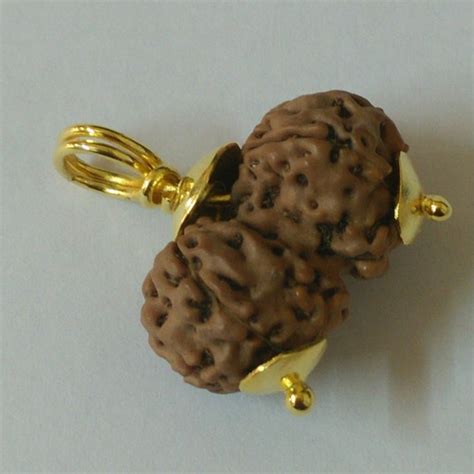 Gauri Gouri Gowri Shankar Rudraksha Pendent Java Origin Lab Etsy