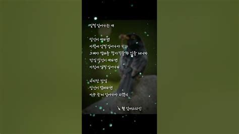 일찍일어나는 새 ㅣ 좋은글 시추천 깨달음 인생시 인생글 인생문장 감동시 감동글 감동문장 감성글 감성시 감성문장 하루십초 한문장 Youtube