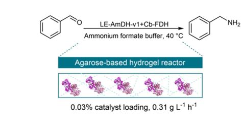 biocatalytic reductive amination in a 3d printed continuous flow