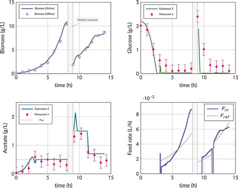 Experiment Results Time Evolution Of The Measured Biomass Glucose