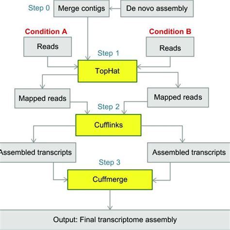 pipeline of rna seq analysis using ngs data nabic rnaseq analysis