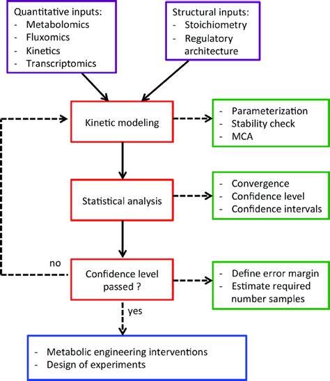 Schematic Diagram Of Workflow Carried Out In The Study Key Steps Red Download Scientific