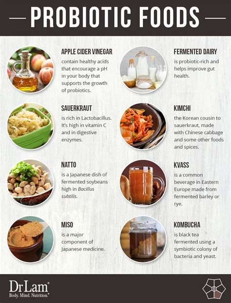 Awesome Probiotic Foods You Should Be Eating 💚we Evolved Eating