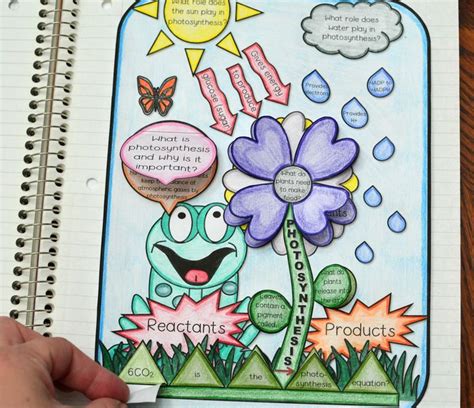 science interactive notebook cells interactive science notebook