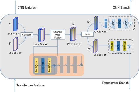 Schematic Of The Cross Fusion Block Download Scientific Diagram