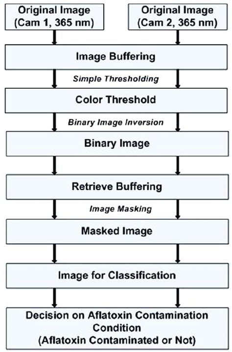 The Flowchart Of Program Used For Detection Of Dried Figs Contaminated Download Scientific
