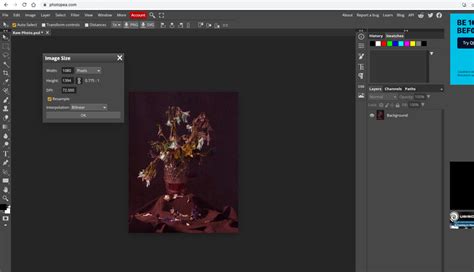 How To Crop Resize And Sharpen A Photo In Photopea Photoshop Alternative Envato Tuts