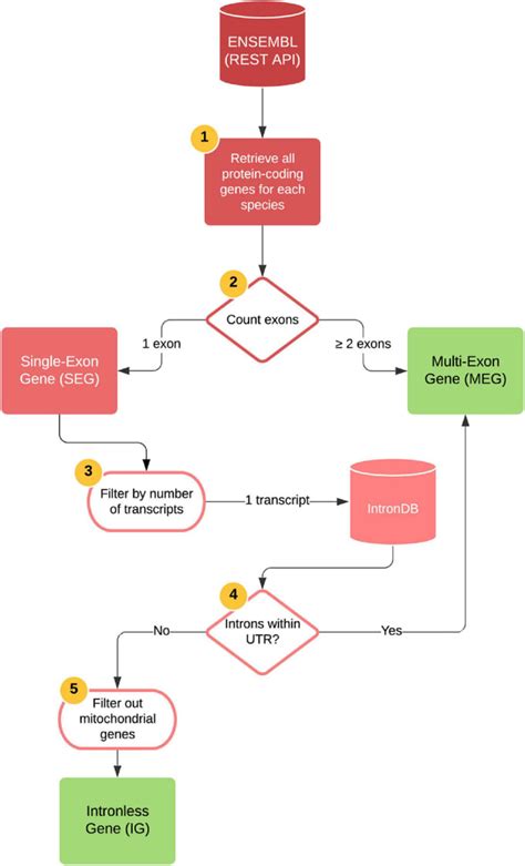 Implement Scientific Software Algorithms And Scripts On Python C Cpp Or Js By Andresioo Fiverr