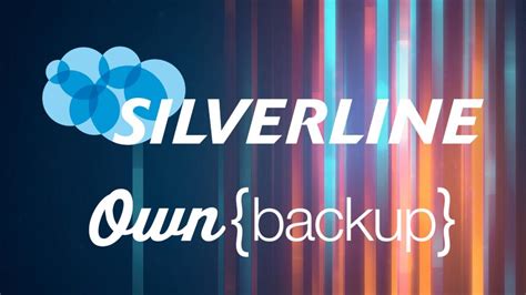 Sreedhar Nadadur On Linkedin How Ownbackup For Salesforce Maximizes Data Protection Silverline