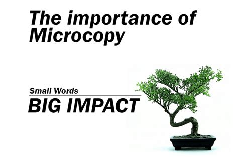 The Importance Of Microcopy Small Words But Big Impact