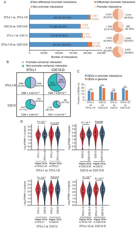 Differential Chromatin Interactions Contribute To Differential Gene Download Scientific Diagram