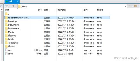 Python反序列化免杀上线cs：两次编码绕过codecs Base64 Csdn博客