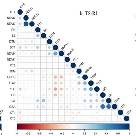 A Correlation Among Traits Under Ts Ir Conditions B Correlation Among