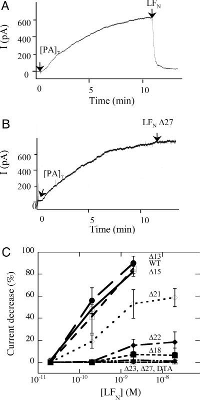 Effects Of N Terminal Deletions On The Ability Of Lfn To Inhibit Pa Download Scientific Diagram