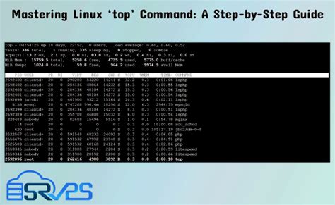 Mastering Linux Top Command A Step By Step Guide Srvps
