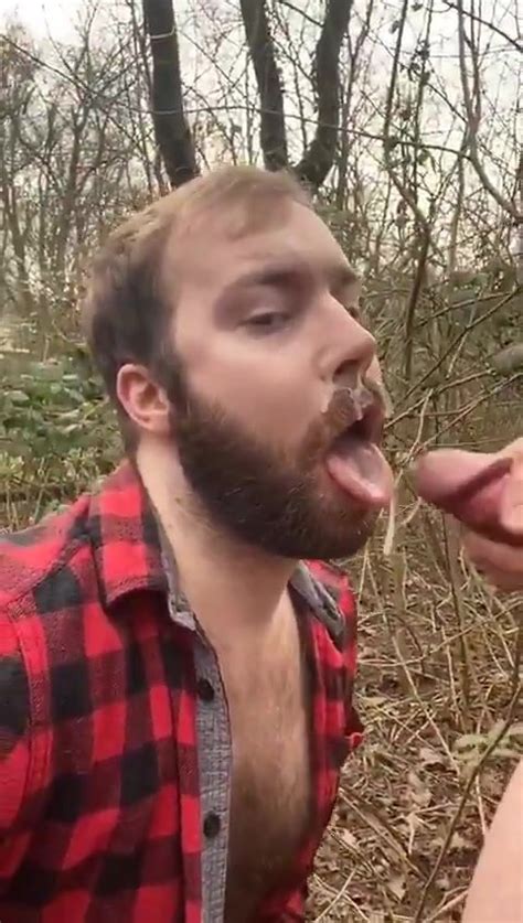 Bear Facial Video 15
