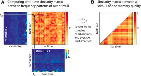 Neural Pattern Similarity Differentially Relates To Memory Performance In Younger And Older