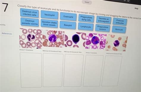 Solved Saved 7 Help Classify The Type Of Leukocyte And Its