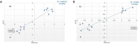 Correlation Analysis Of The Expression Patterns Of 20 Selected Degs Download Scientific Diagram
