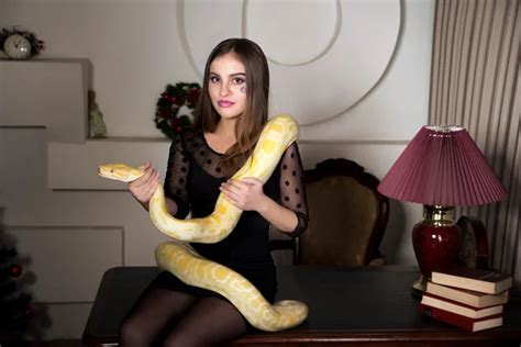 Beautiful Woman With Python Stock Photo OlgaOsa 111808064