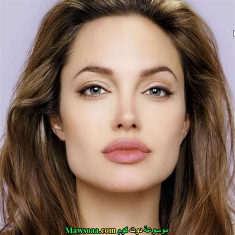 أنجلينا جولي ديانتها زوجها أعمالها كل ما تريد معرفته تقرير كامل