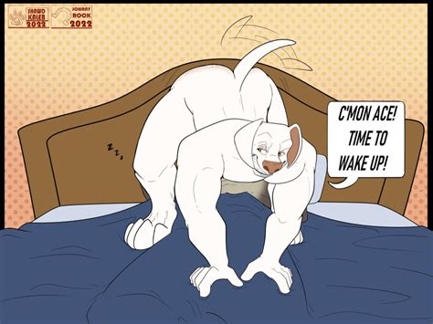 Rule 34 Ace The Bat Hound Anthro Ass Ass Up Bed Cocky Cocky Smile Dc