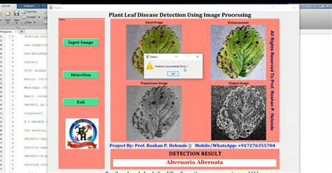 Plant Disease Detection Using Image Processing Matlab Project With Source Code Final Year